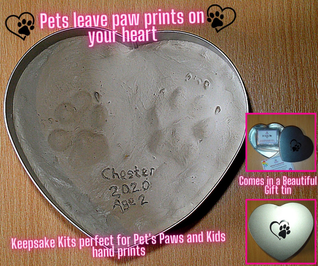 Pet Paw Print Memento Craft Kit Personalised Gift Pet - Etsy UK