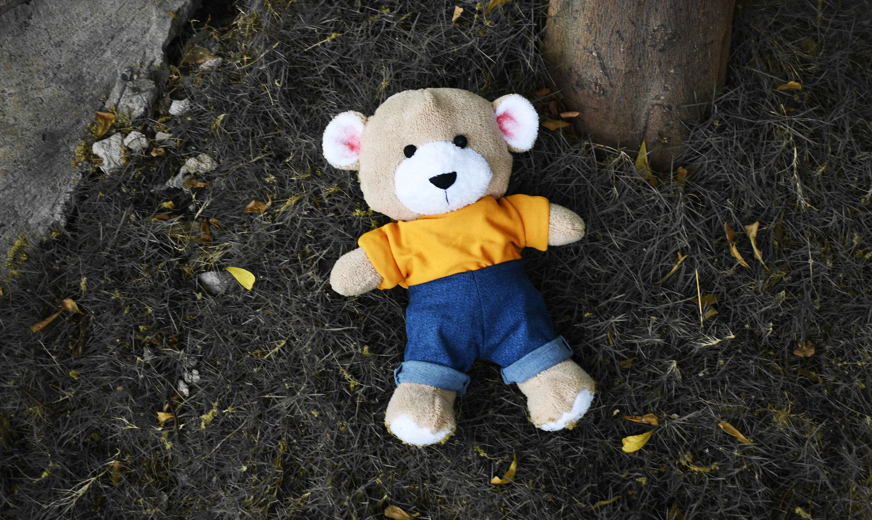 Teddy Bear PDF Pattern Teddy Bear Sewing Pattern - Etsy UK