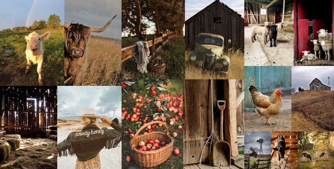 Barn Life Aesthetic Wall Collage Kit 45 Pieces Farm Animals and Barn ...
