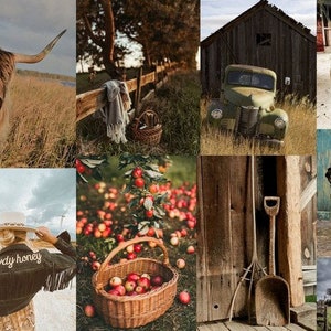 Barn Life Aesthetic Wall Collage Kit 45+ Pieces Farm Animals and Barn ...