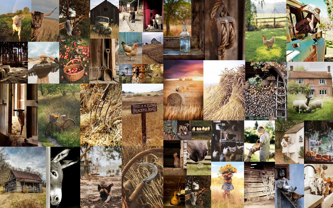 Barn Life Aesthetic Wall Collage Kit 45+ Pieces Farm Animals and Barn ...