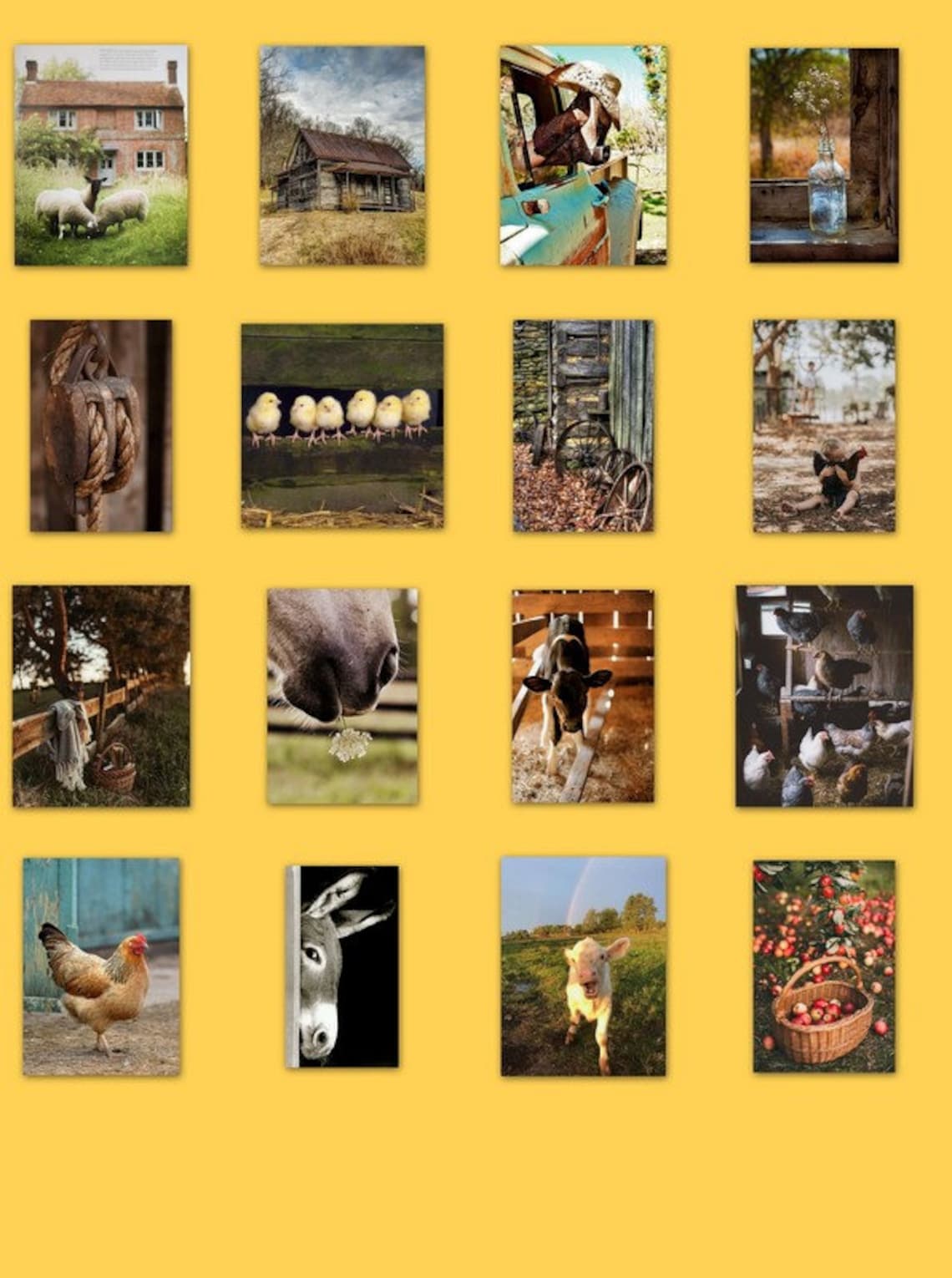 Barn Life Aesthetic Wall Collage Kit 45 Pieces Farm Animals and Barn ...
