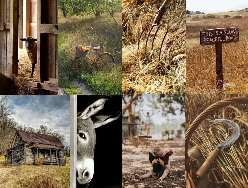 Barn Life Aesthetic Wall Collage Kit 45+ Pieces Farm Animals and Barn ...