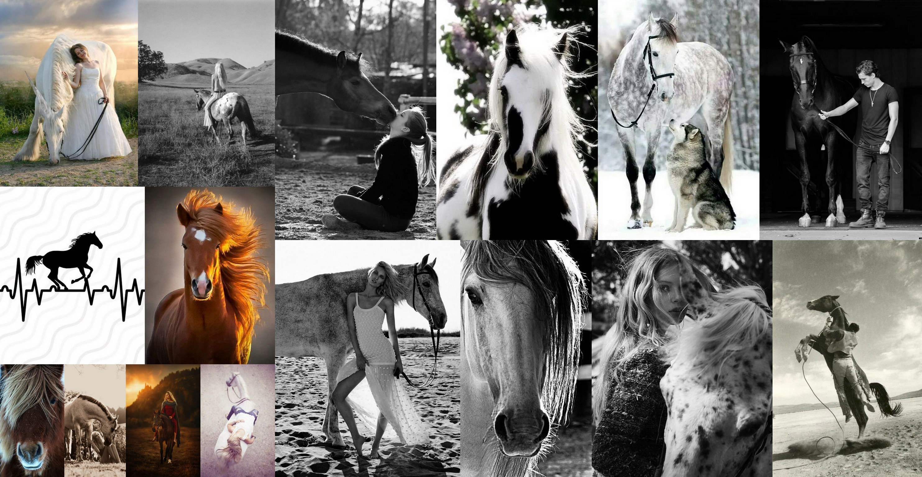 Horses and Human Aesthetic Photo Collage Kit of 90 Pieces - Etsy