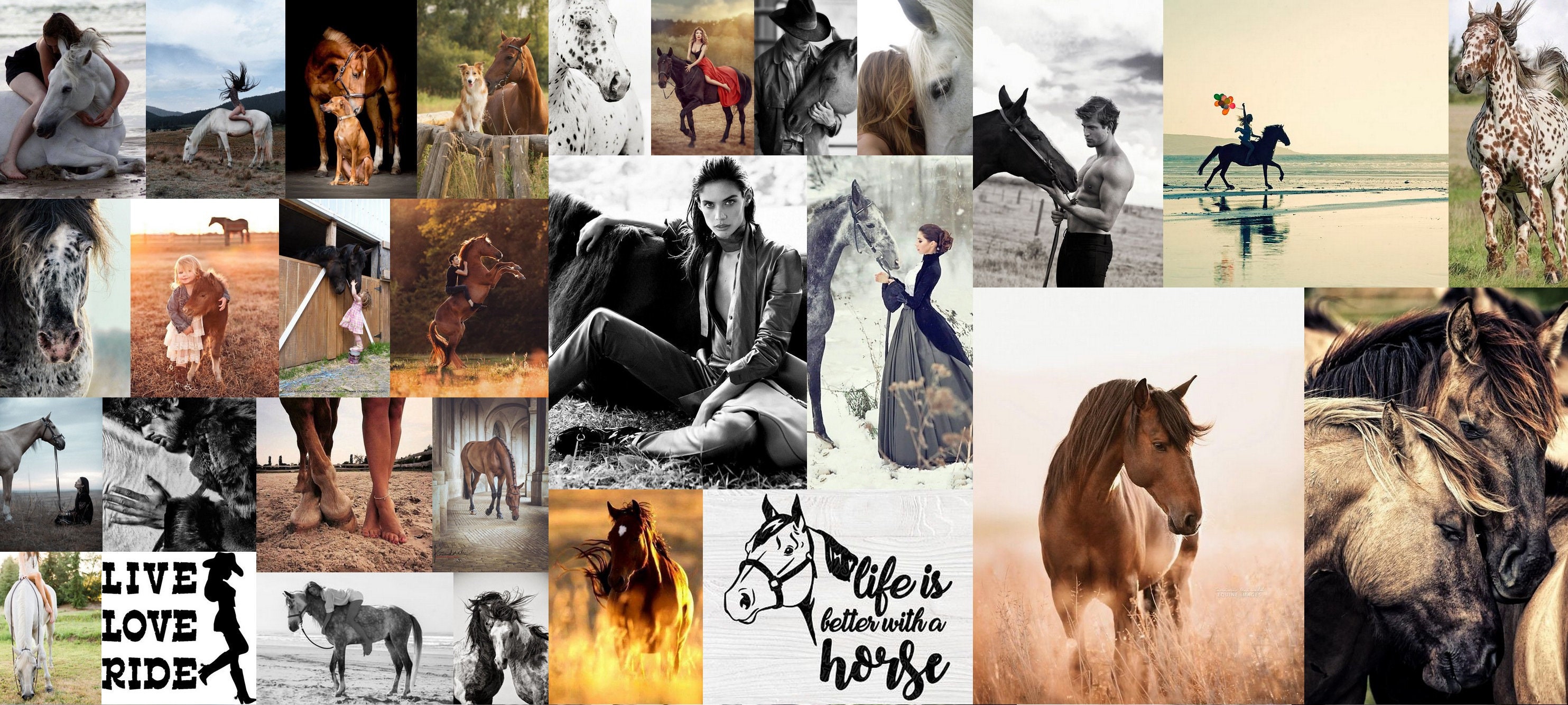 Horses and Human Aesthetic Photo Collage Kit of 90 Pieces - Etsy