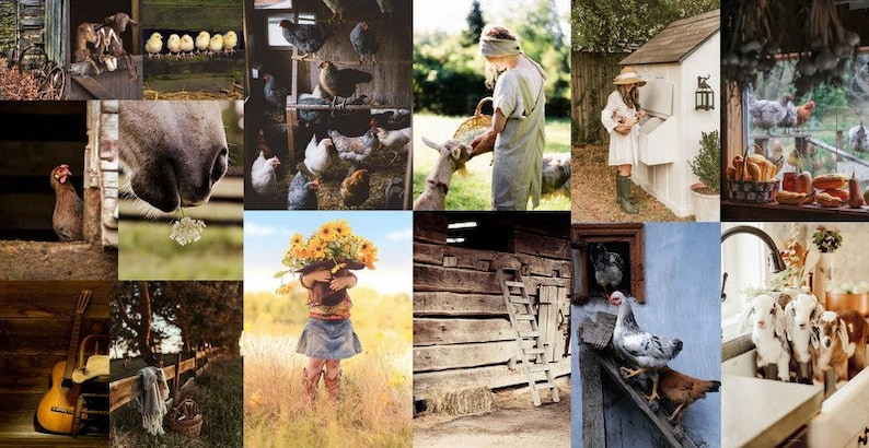 Barn Life Aesthetic Wall Collage Kit 45+ Pieces Farm Animals and Barn ...