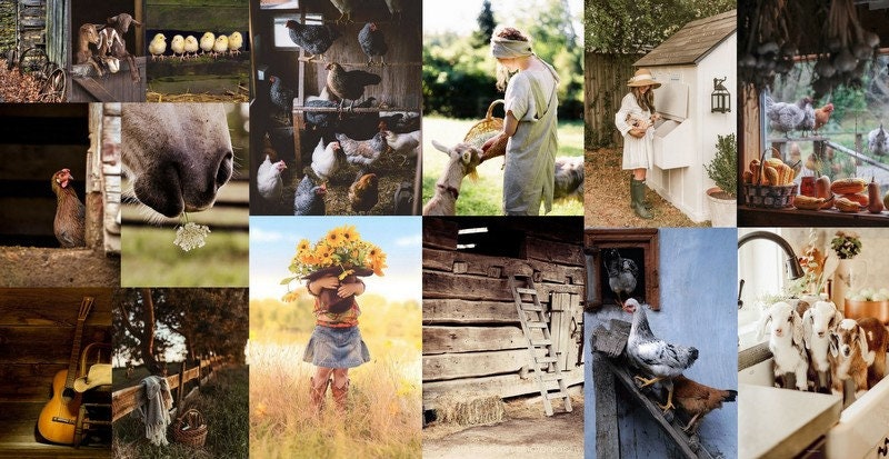 Barn Life Aesthetic Wall Collage Kit 45+ Pieces Farm Animals and Barn ...