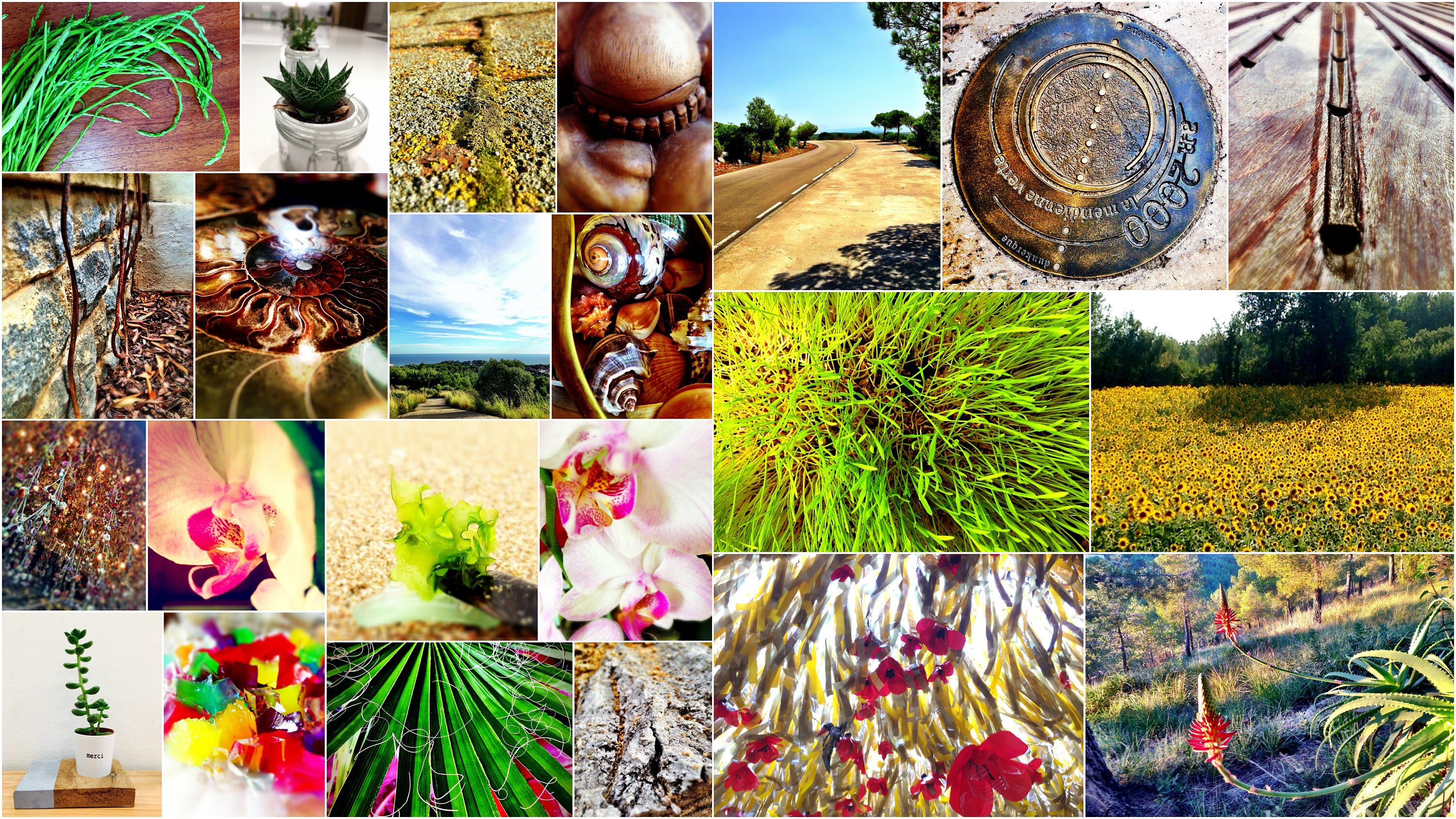 Nature Green Aesthetic Photo Wall Collage Kit of 53 Pieces Inspiring ...
