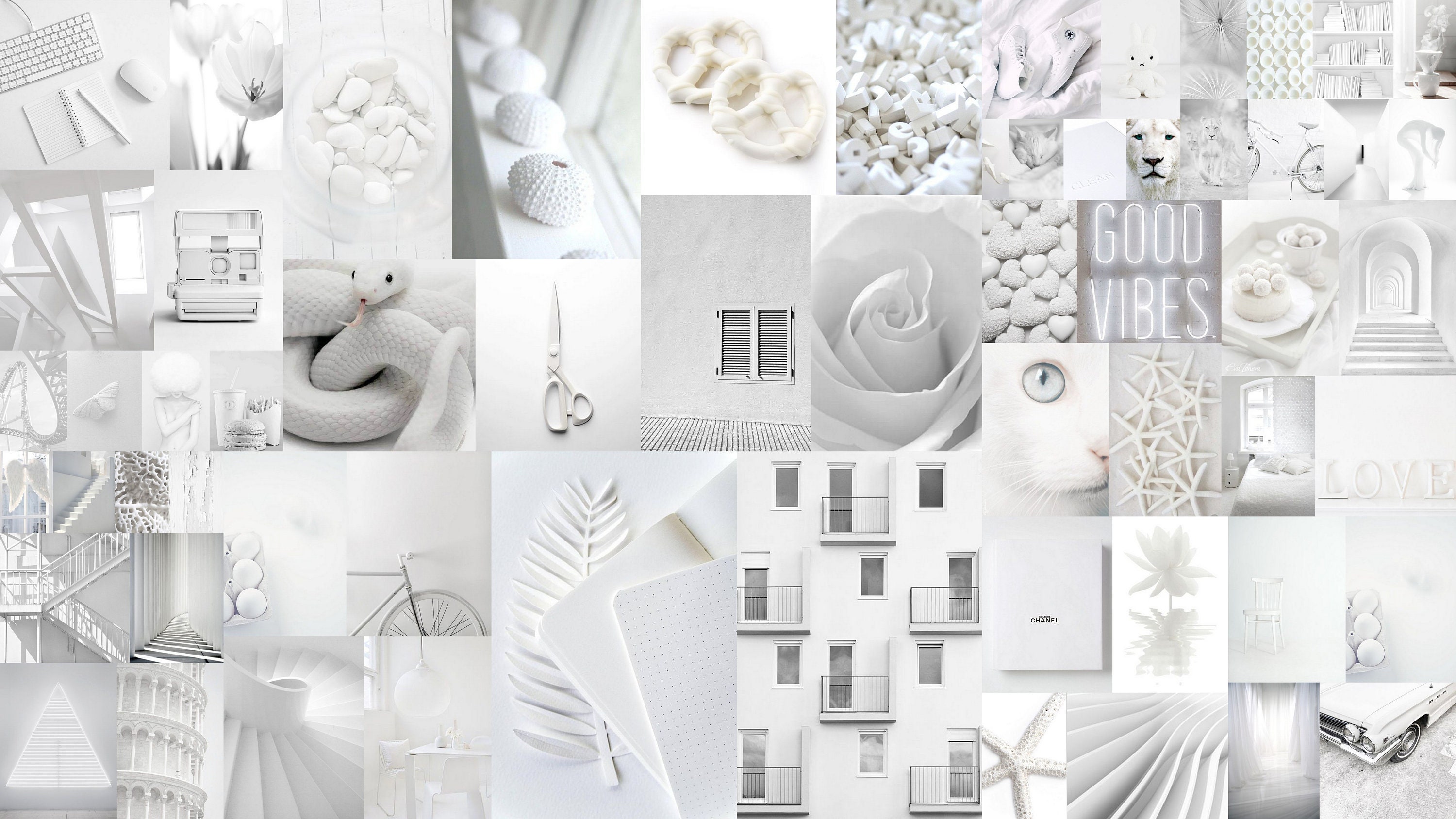Digital File Pack Of 60 Photos Ready To Print Black And White Boujee Digital File Pack Of 60 Photos Ready To Print Black And White Boujee