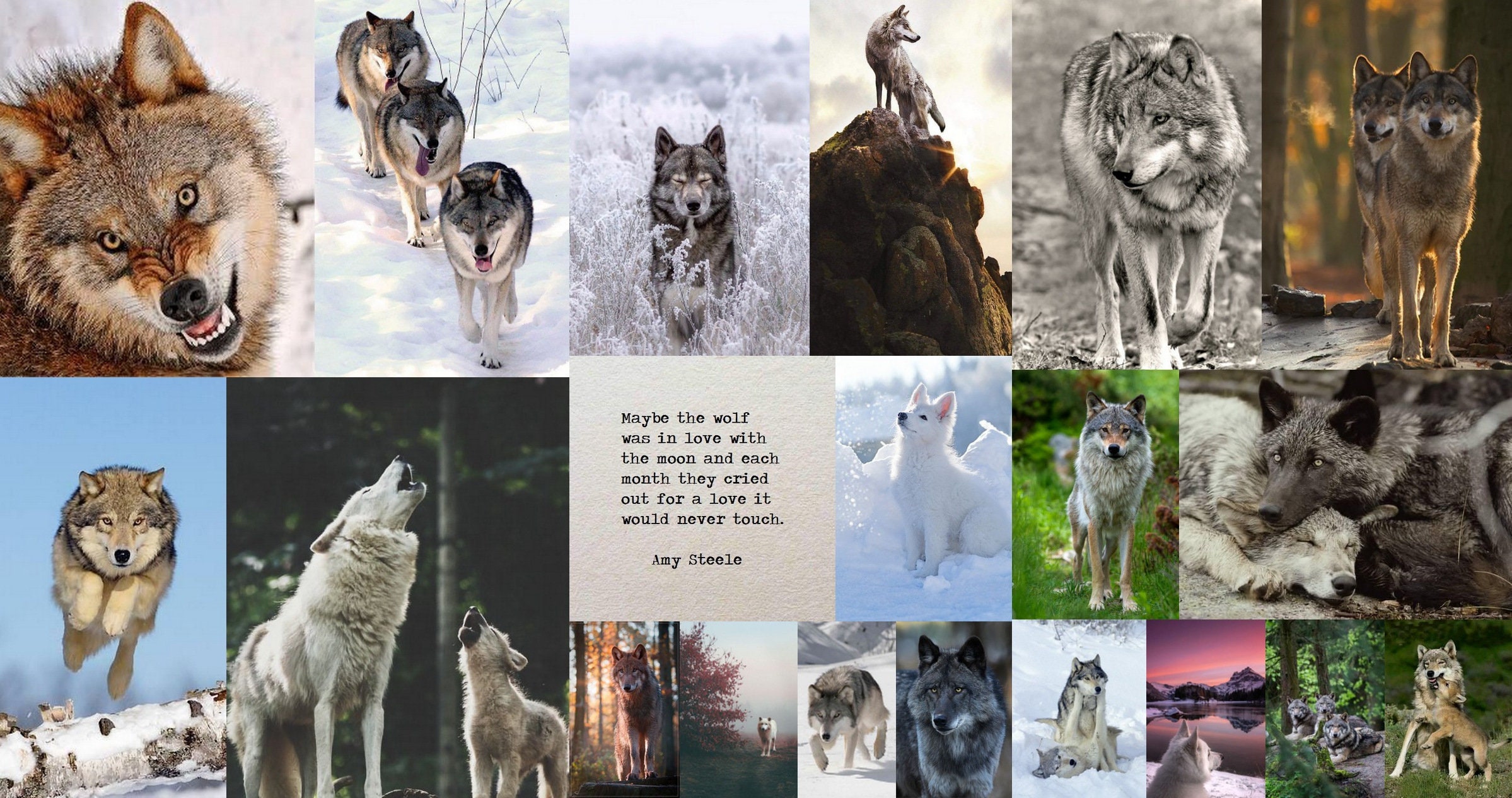 Wolves Aesthetic Photo Collage Kit of 80 Pieces Wolf - Etsy