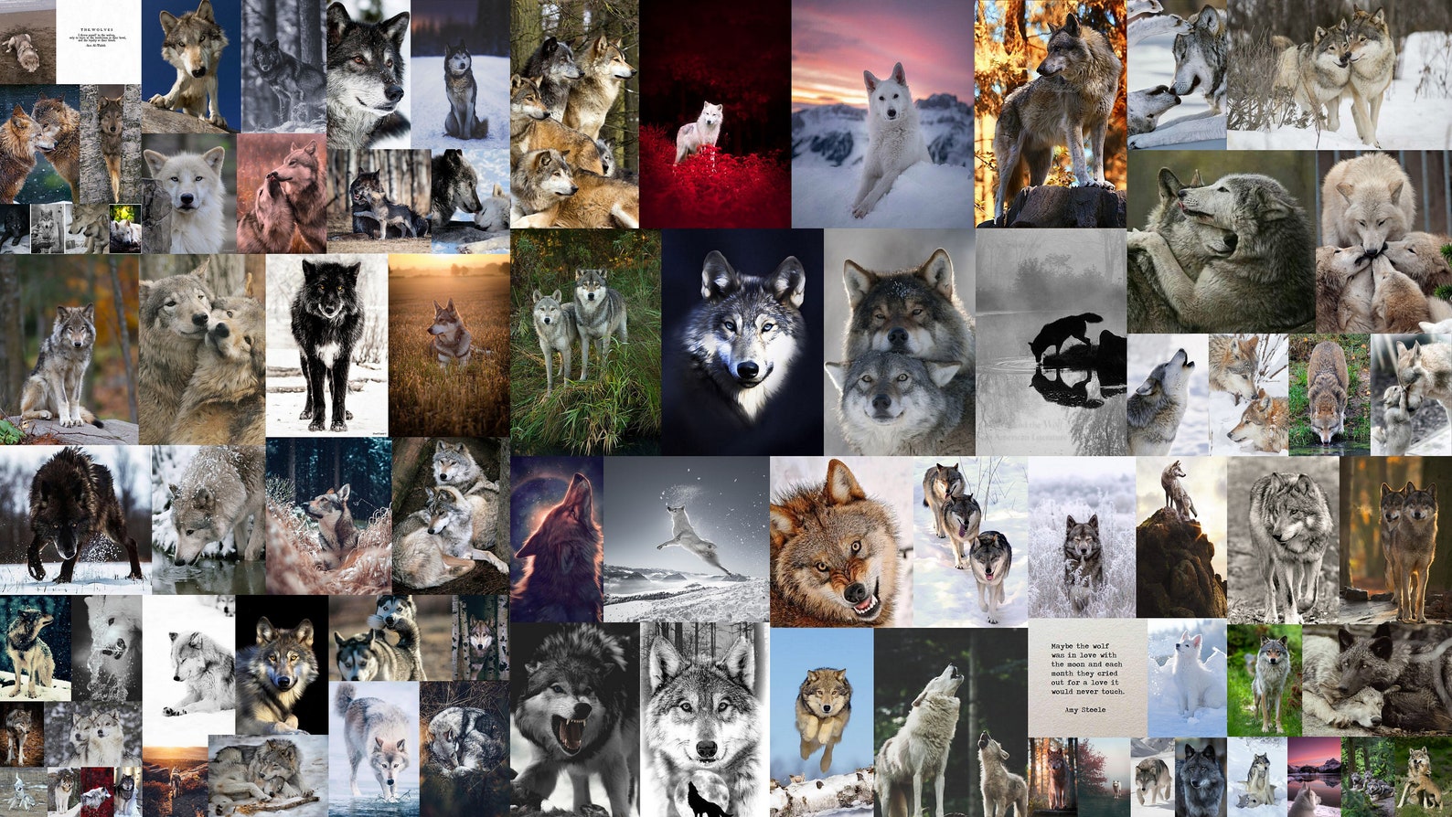Wolves Aesthetic Photo Collage Kit of 80 Pieces Wolf - Etsy