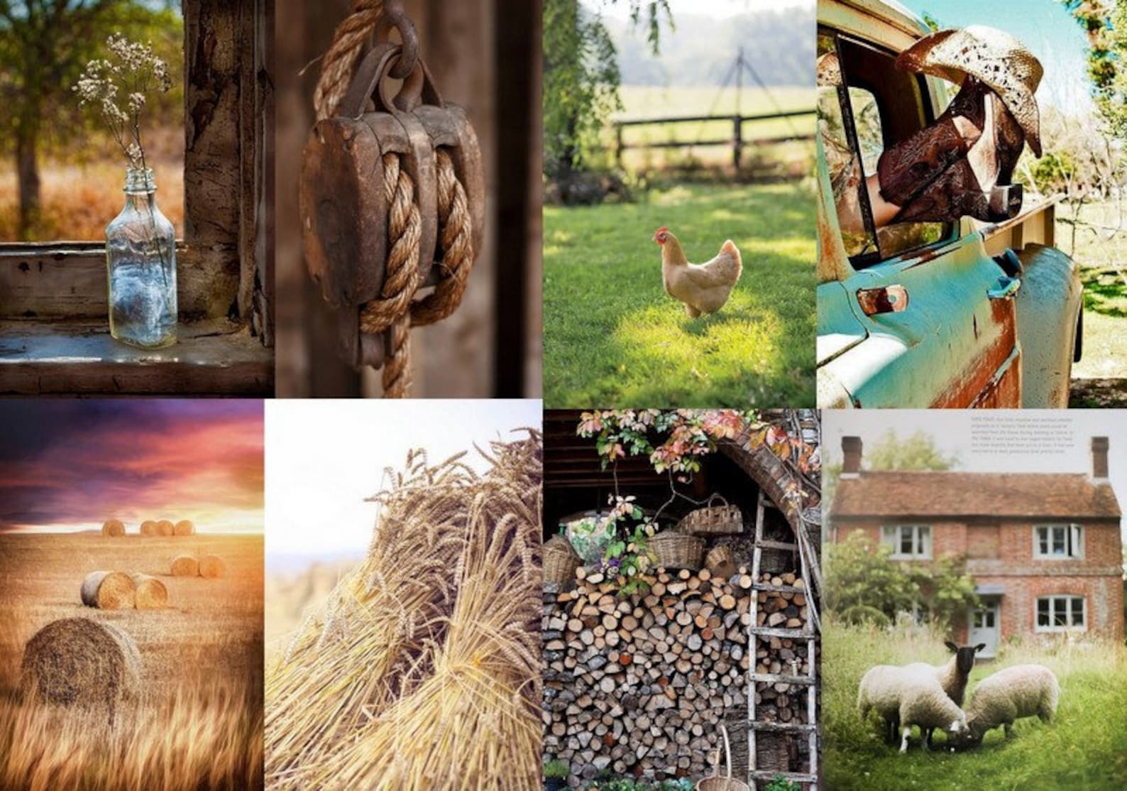 Barn Life Aesthetic Wall Collage Kit 45+ Pieces Farm Animals and Barn ...