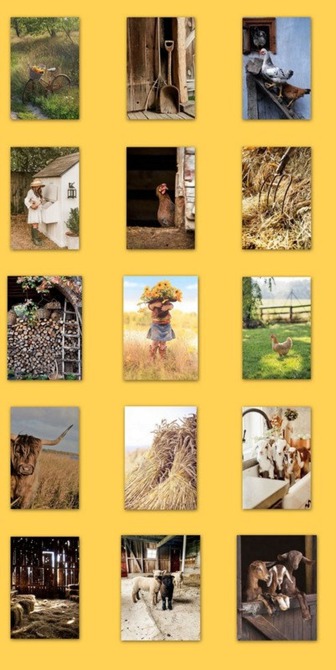 Barn Life Aesthetic Wall Collage Kit 45 Pieces Farm Animals and Barn ...