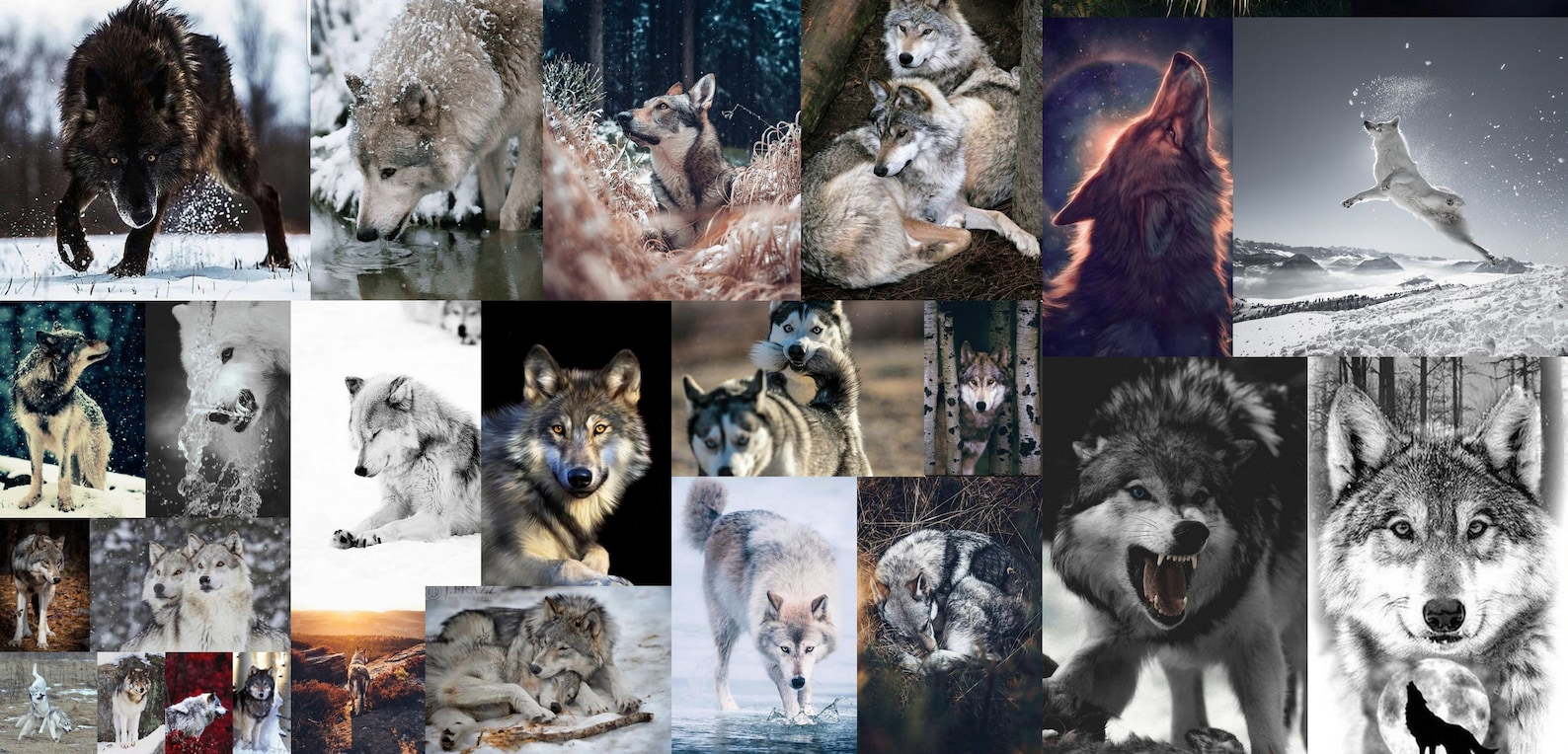 Wolves Aesthetic Photo Collage Kit of 80 Pieces Wolf - Etsy