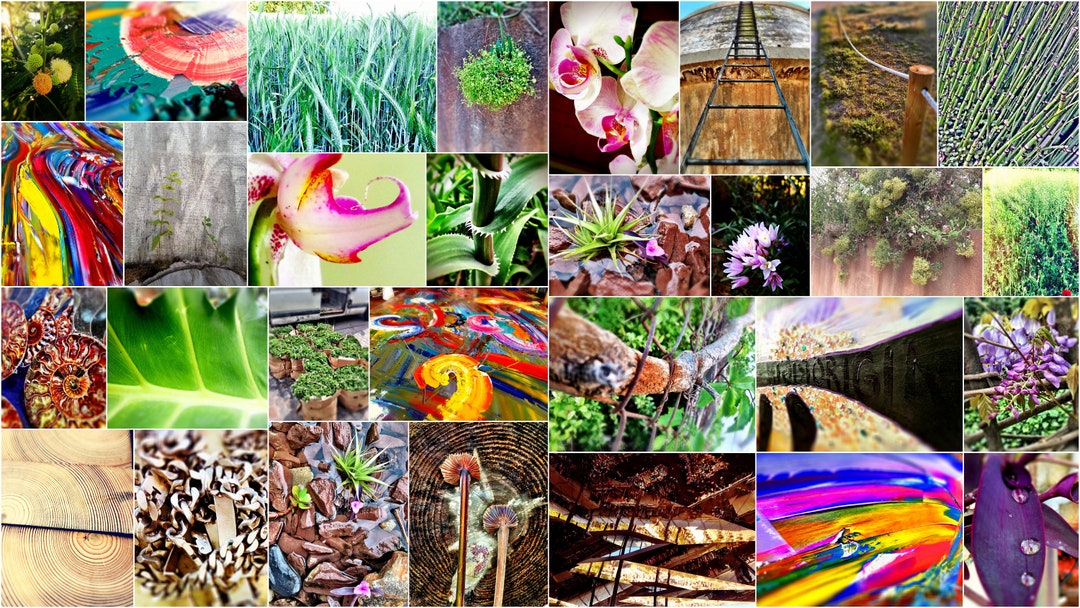 Nature Green Aesthetic Photo Wall Collage Kit of 53 Pieces Inspiring ...