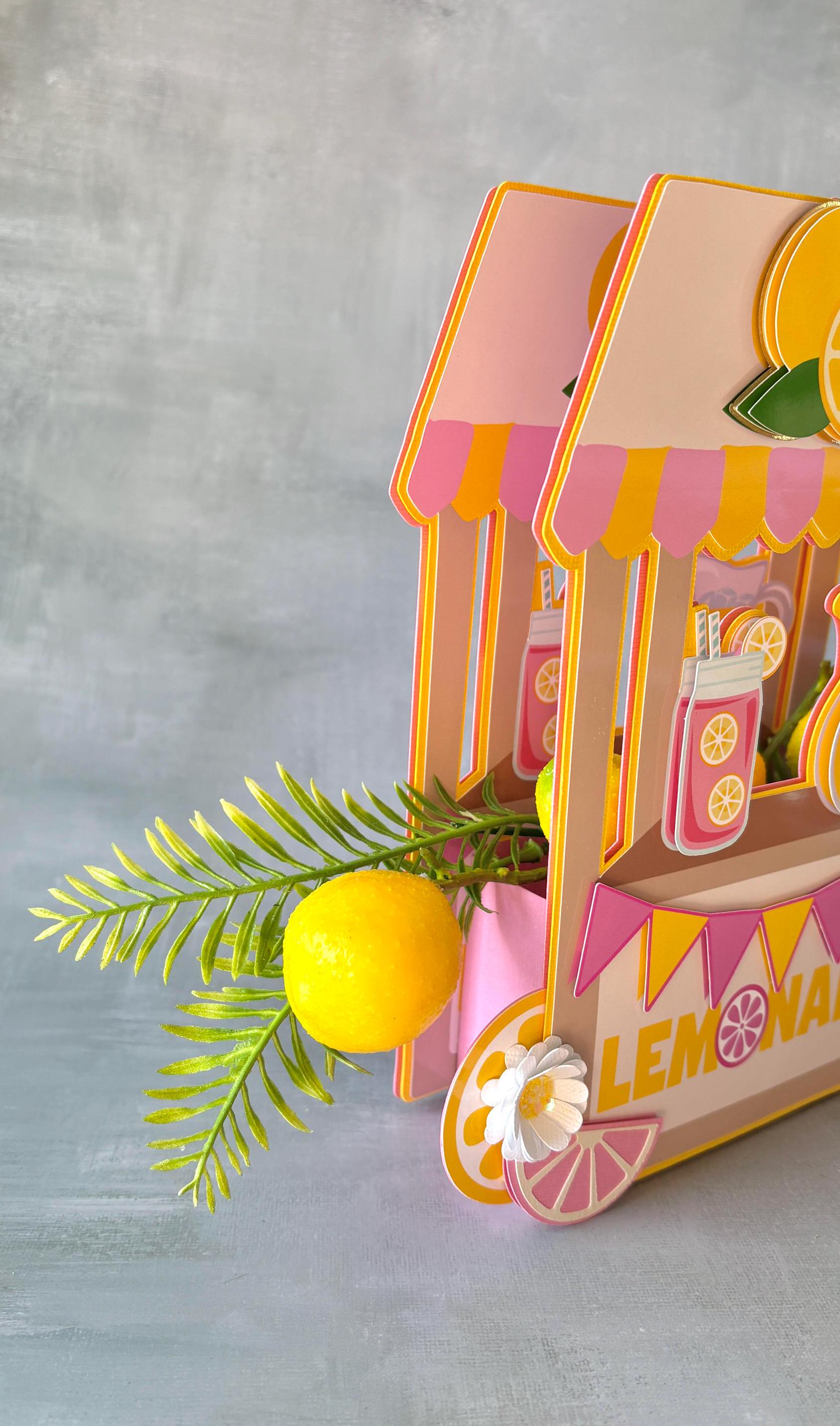 Lemonade Stand Centerpiece: Pink Lemonade Party Decor - Etsy