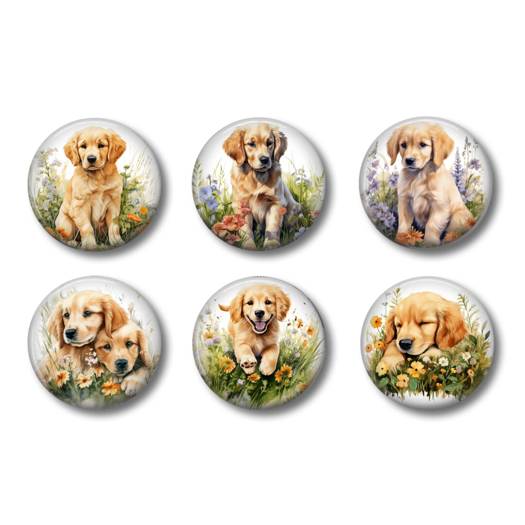Golden Retriever Puppy Magnets - Dog Lover Gift, Set of 6 - Etsy