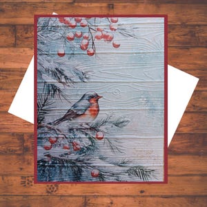 6 Different Winter Birds in Snow Embossed Card Kit W/envelopes, Adult ...