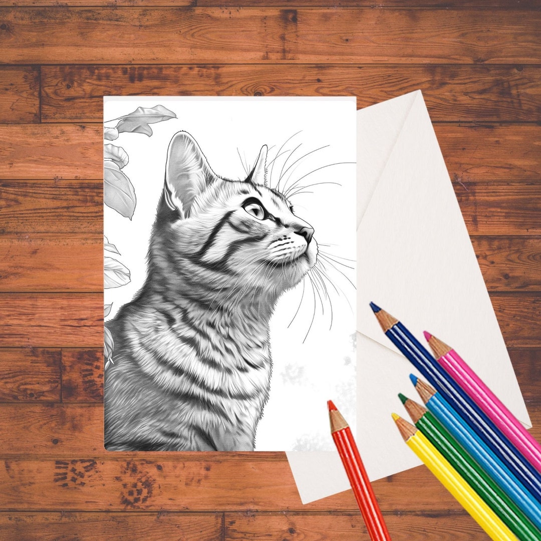 Cat Coloring Cards Set: Realistic Feline Art, DIY Greeting Cards Kit - Etsy