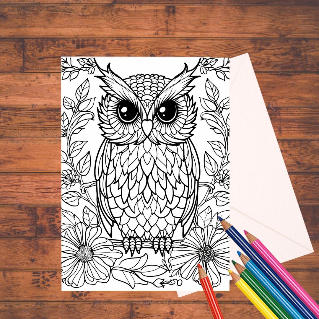 Owl Coloring Cards: DIY Greeting Card Kit With Envelopes - Etsy