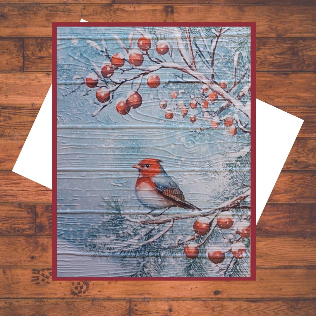6 Different Winter Birds in Snow Embossed Card Kit W/envelopes, Adult ...