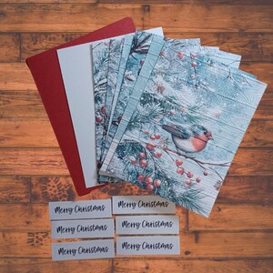 6 Different Winter Birds in Snow Embossed Card Kit W/envelopes, Adult ...