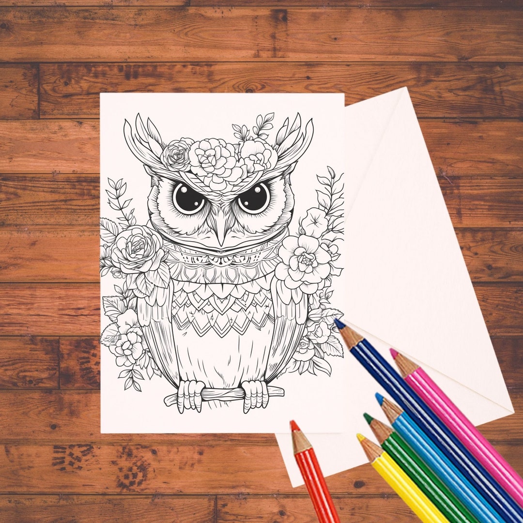 Woodland Owl Coloring Cards Set: DIY Greeting Card Kit With Envelopes ...