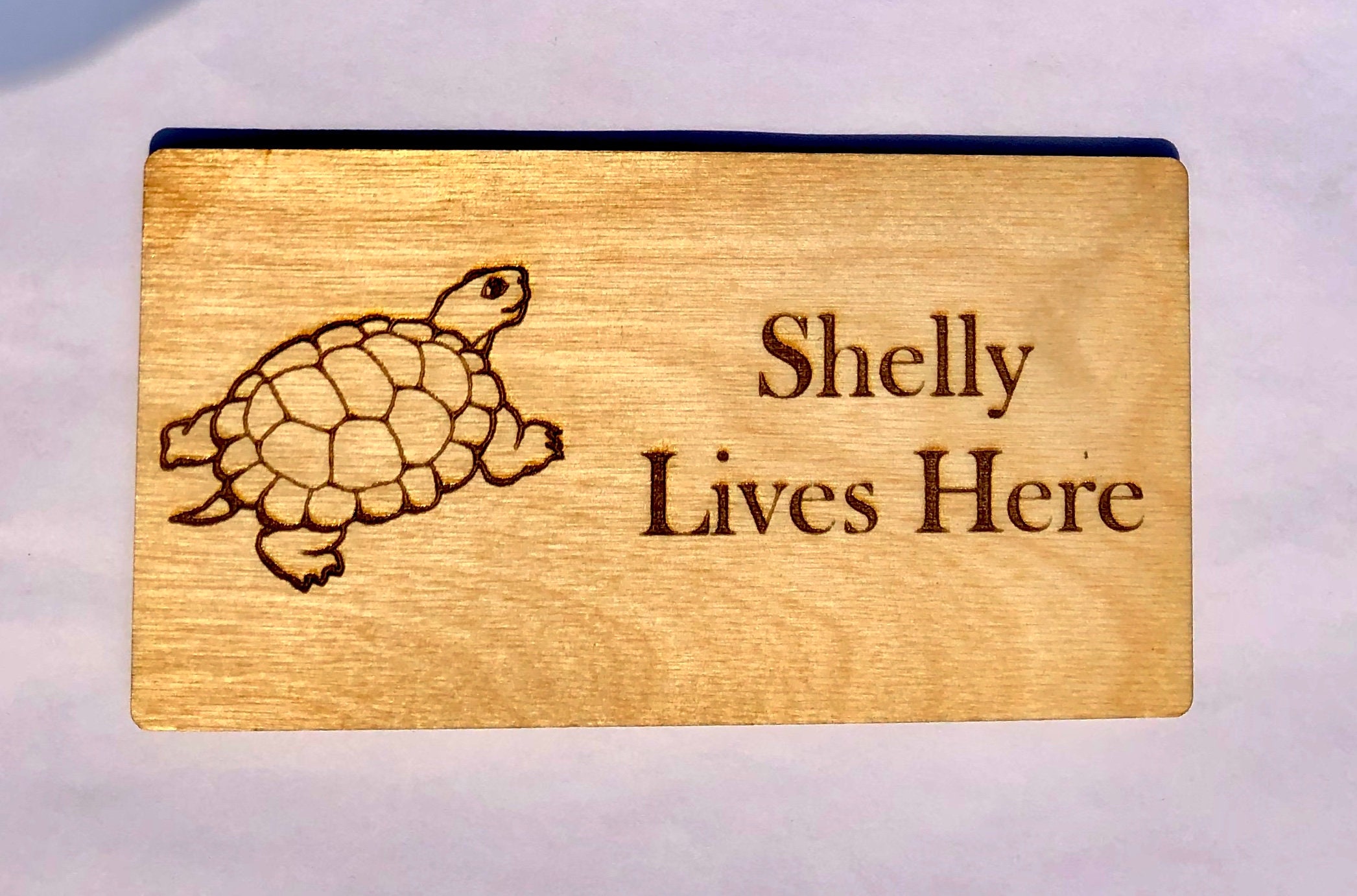 Personalised Wooden Tortoise Name Plaque/hanging Sign 4 | Etsy UK