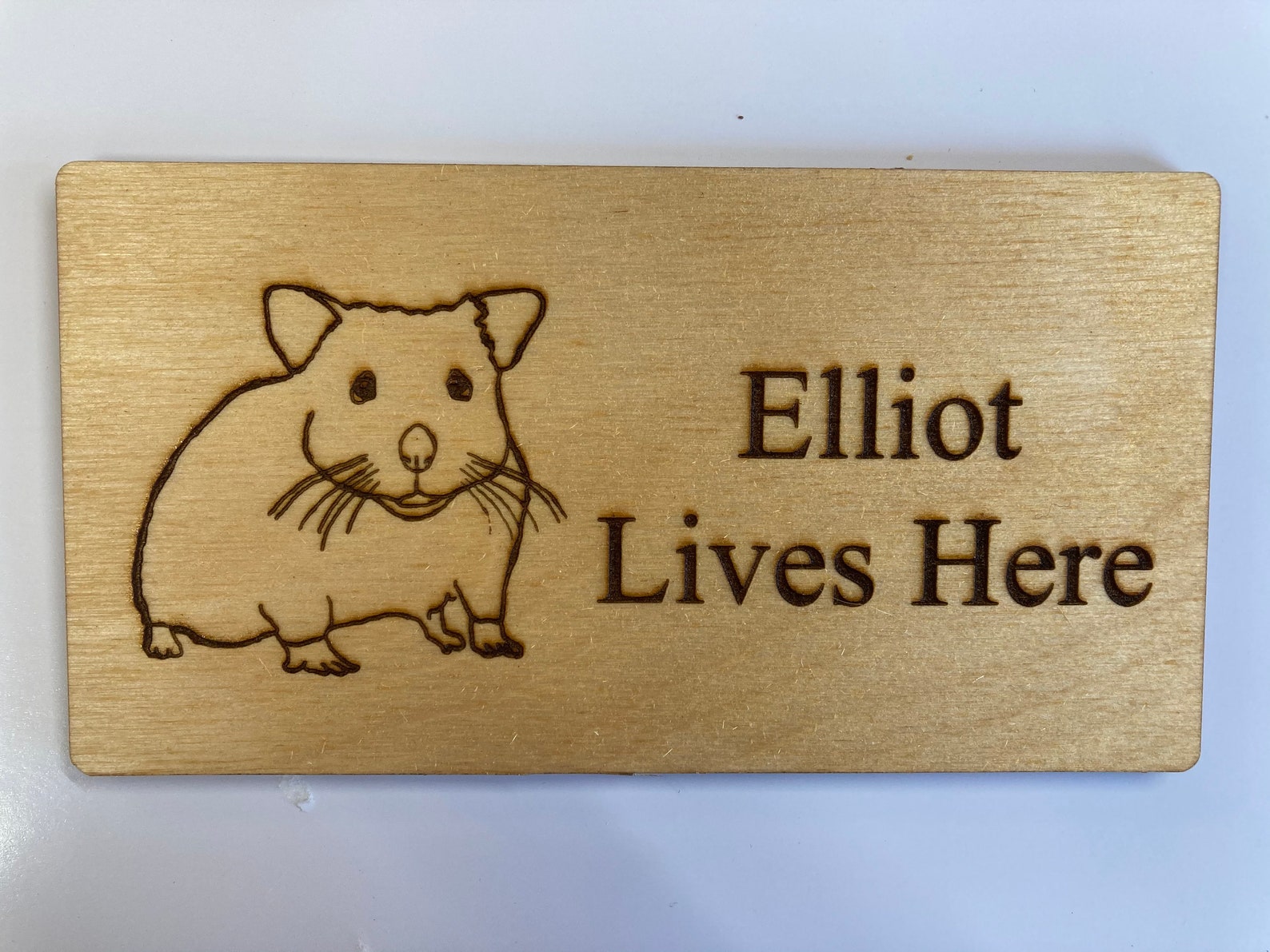 Personalised Wooden Engraved Hamster Name Plaque/hanging Sign - Etsy