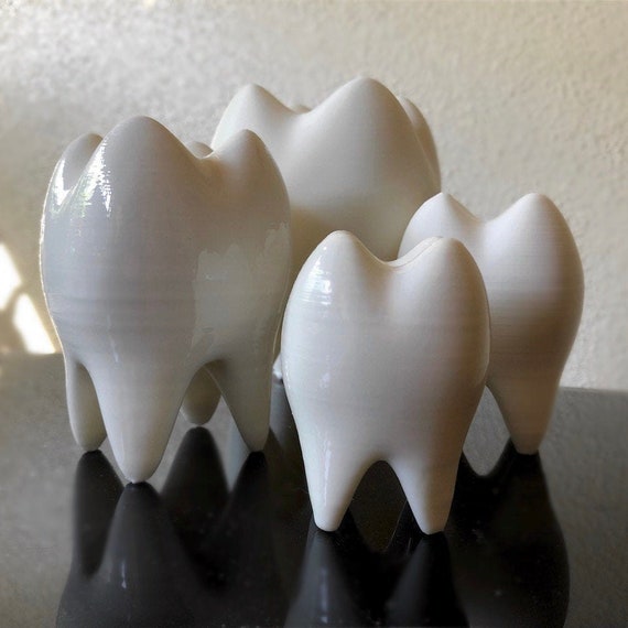 Molar Tooth Figure - Etsy