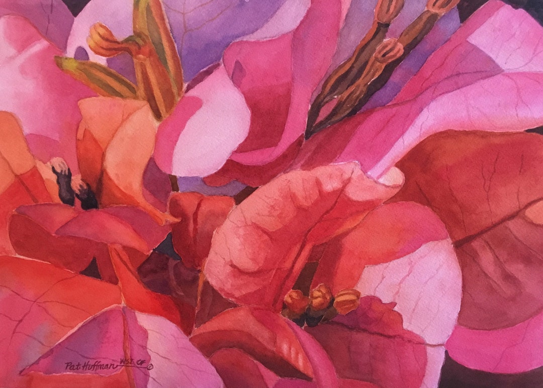 Pink Bougainville an Original Watercolor Painting by Pat Huffman Art ...