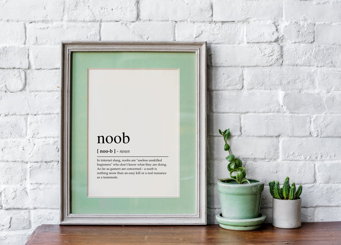 Noob Definition Print, Home Print, Gaming Prints, Gaming Print, Funny ...