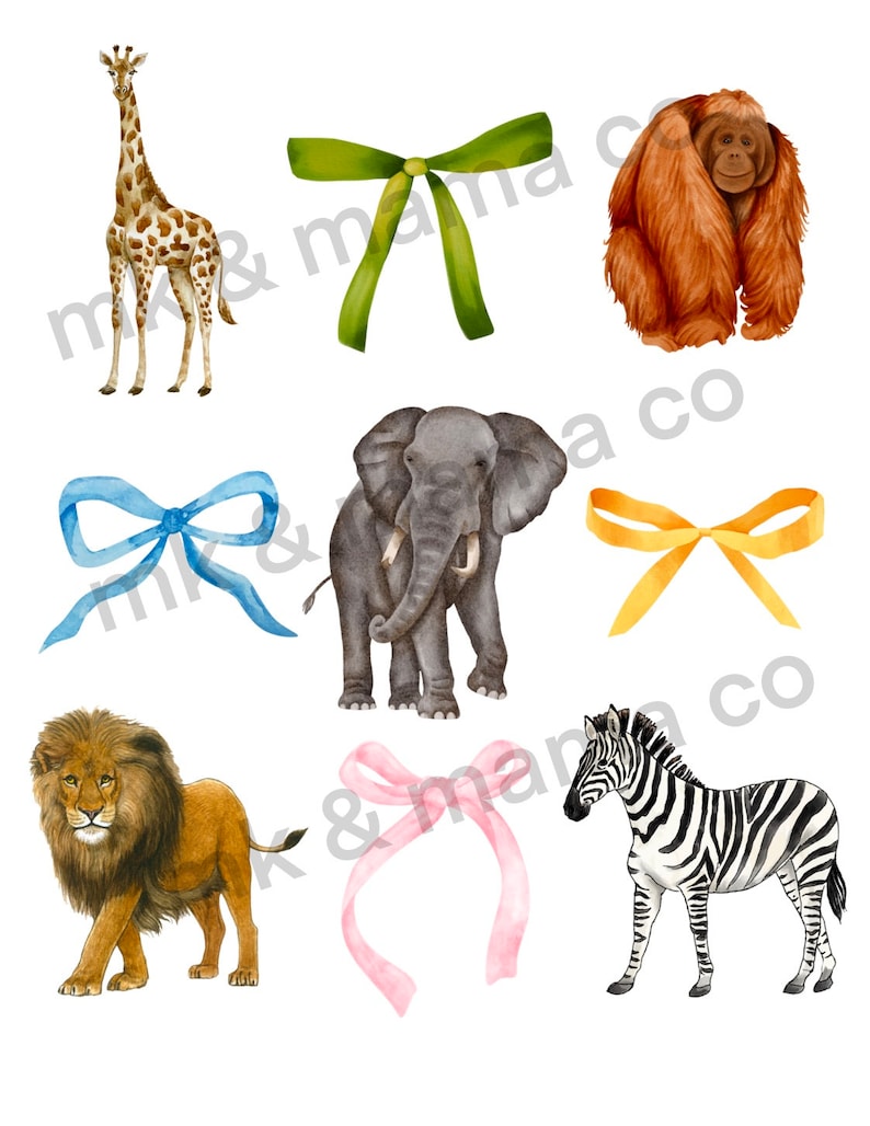 Zoo Animals Bows PNG - Etsy