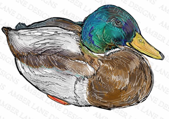 Cleite Mallard Wandposter The Family Of Ducks Cute Painted Animals