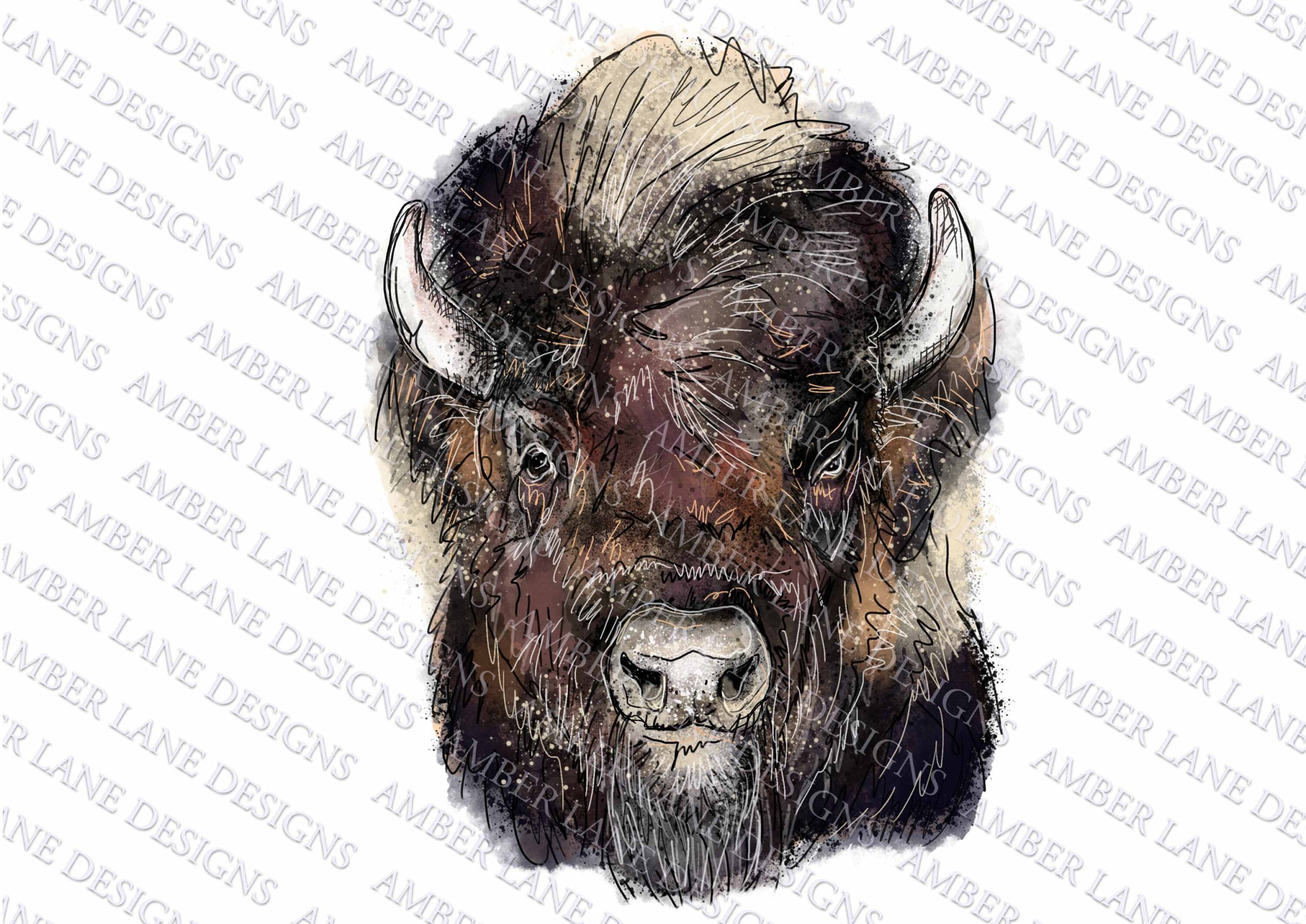 Bison Face Illustration