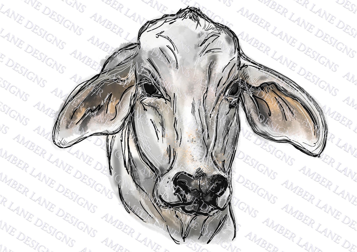 Grey Brahman Cow Hand Drawn Watercolor Sublimation PNG. - Etsy