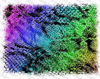 Rainbow Snakeskin | Etsy