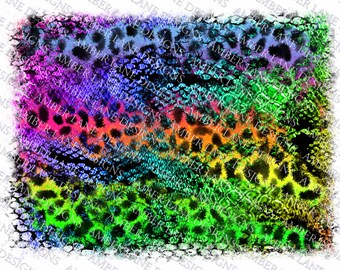 Rainbow Snakeskin | Etsy