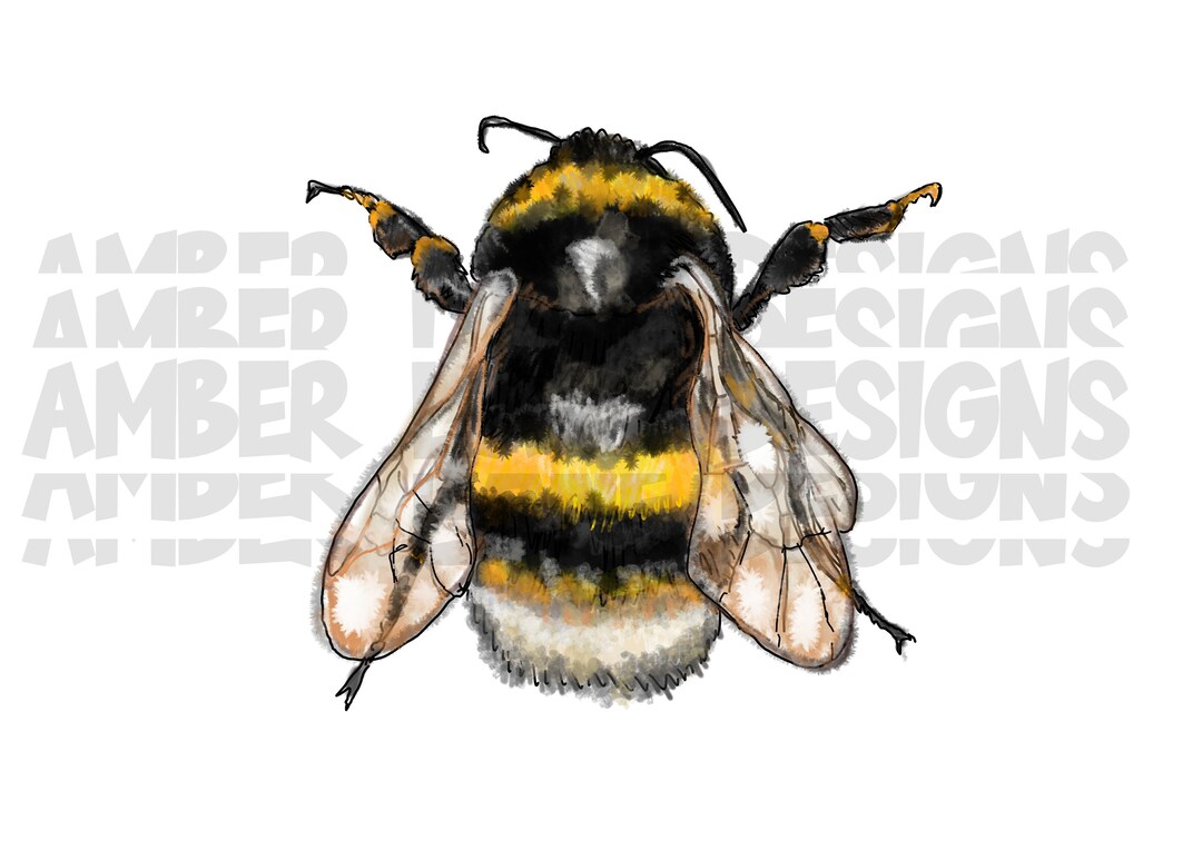 Bumble Bee PNG | Bee PNG Watercolor Bee | Hand Drawn | Sublimation PNG ...