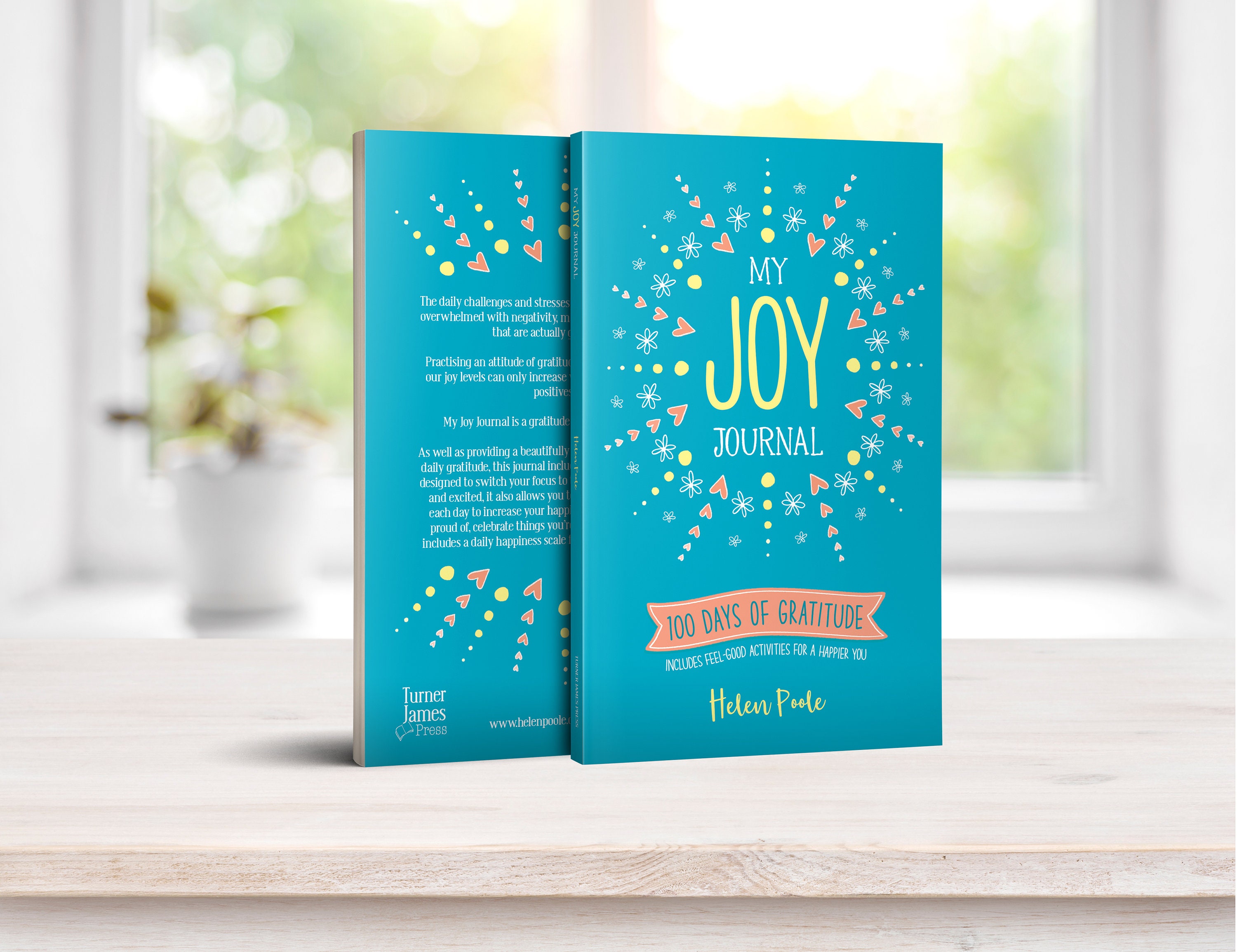 My Joy Journal: 100 Days of Gratitude - Etsy