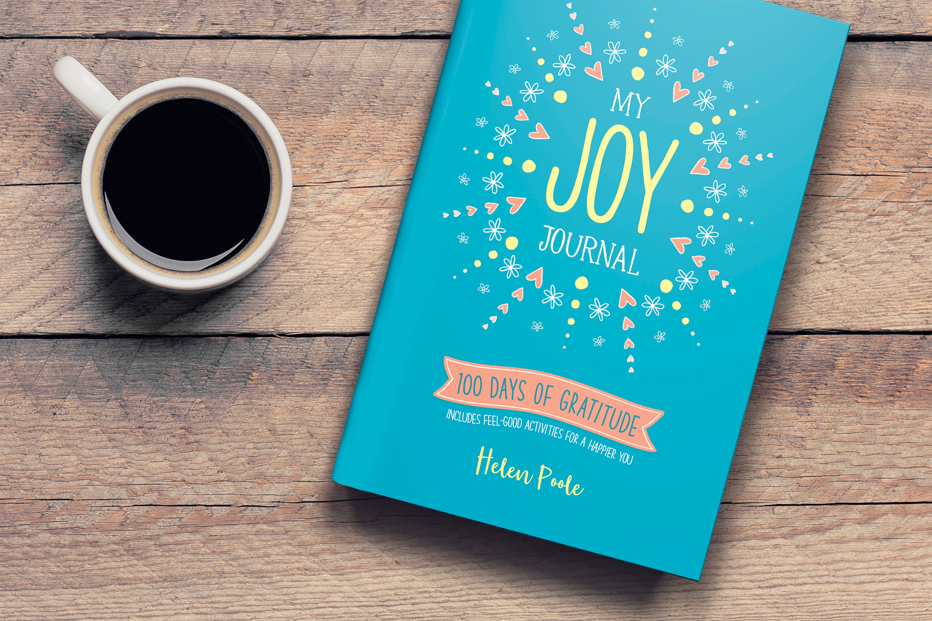 My Joy Journal: 100 Days of Gratitude - Etsy
