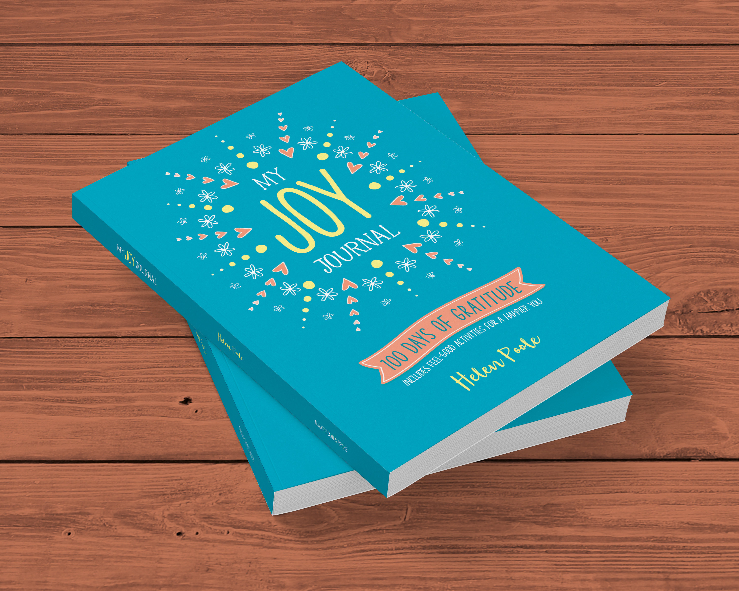 My Joy Journal: 100 Days of Gratitude - Etsy