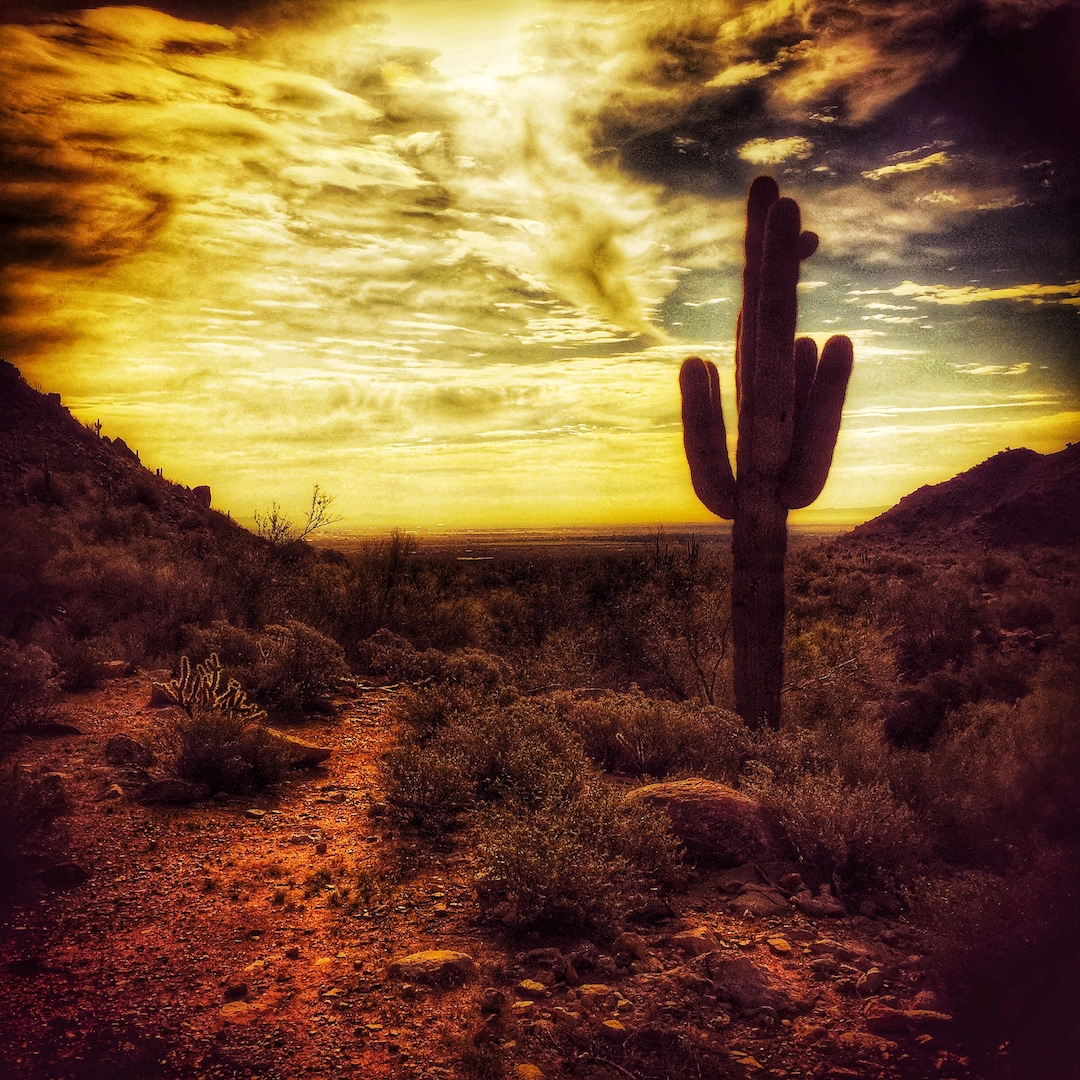 Arizona Desert; Landscape Photography; Nature - Etsy