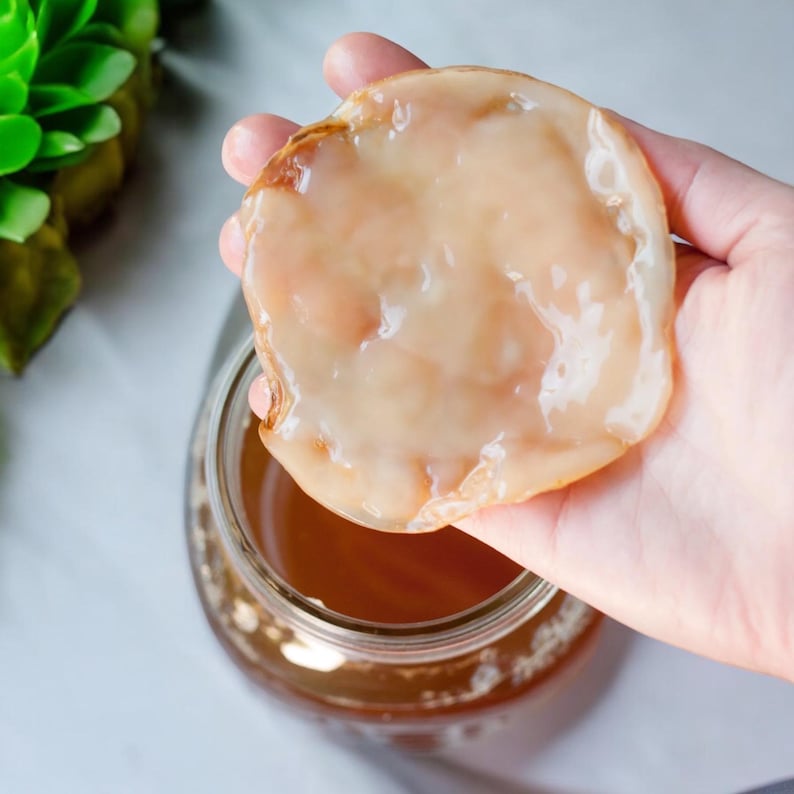 Kombucha SCOBY Starter Culture | Free Shipping | Live Probiotic ...
