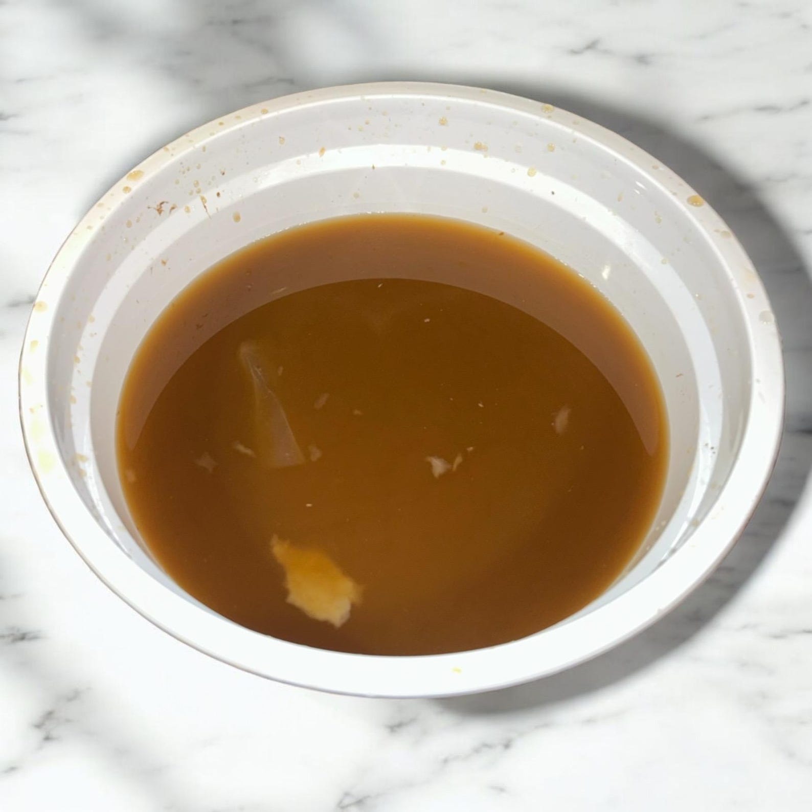 Kombucha SCOBY Starter Culture | Free Shipping | Live Probiotic ...
