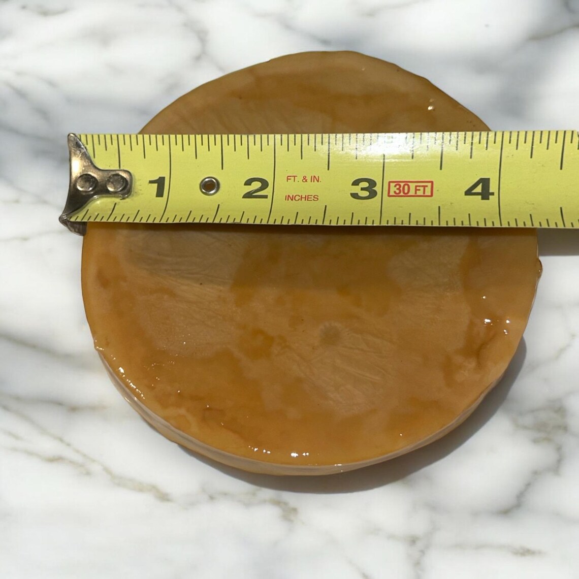 Kombucha SCOBY Starter Culture | Free Shipping | Live Probiotic ...