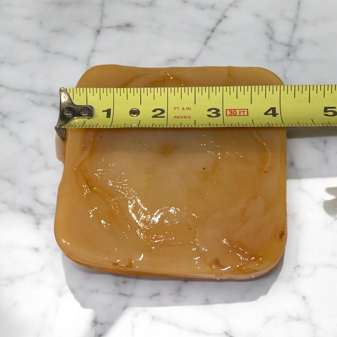 Kombucha SCOBY Starter Culture | Free Shipping | Live Probiotic ...