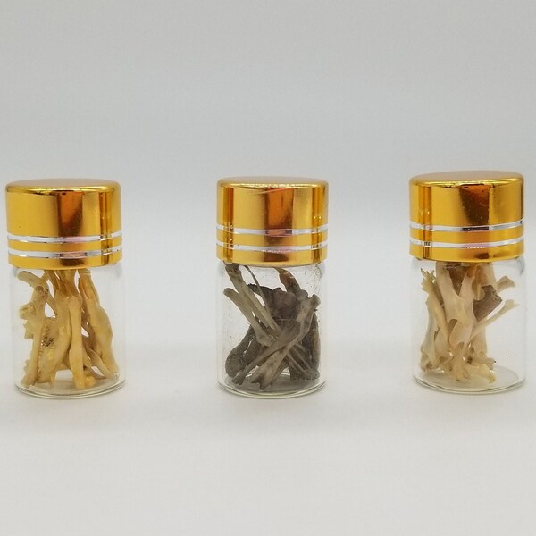 Rodent Bones - Etsy