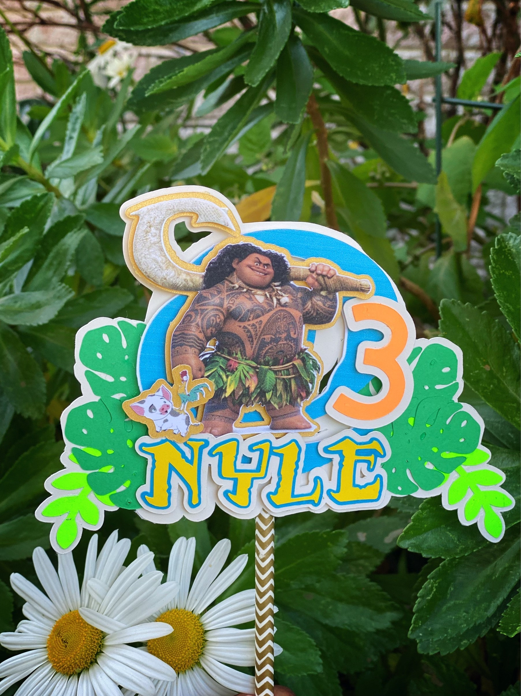 Moana Character Inspired Cake Topper , Tropical, Adventurous Cake ...