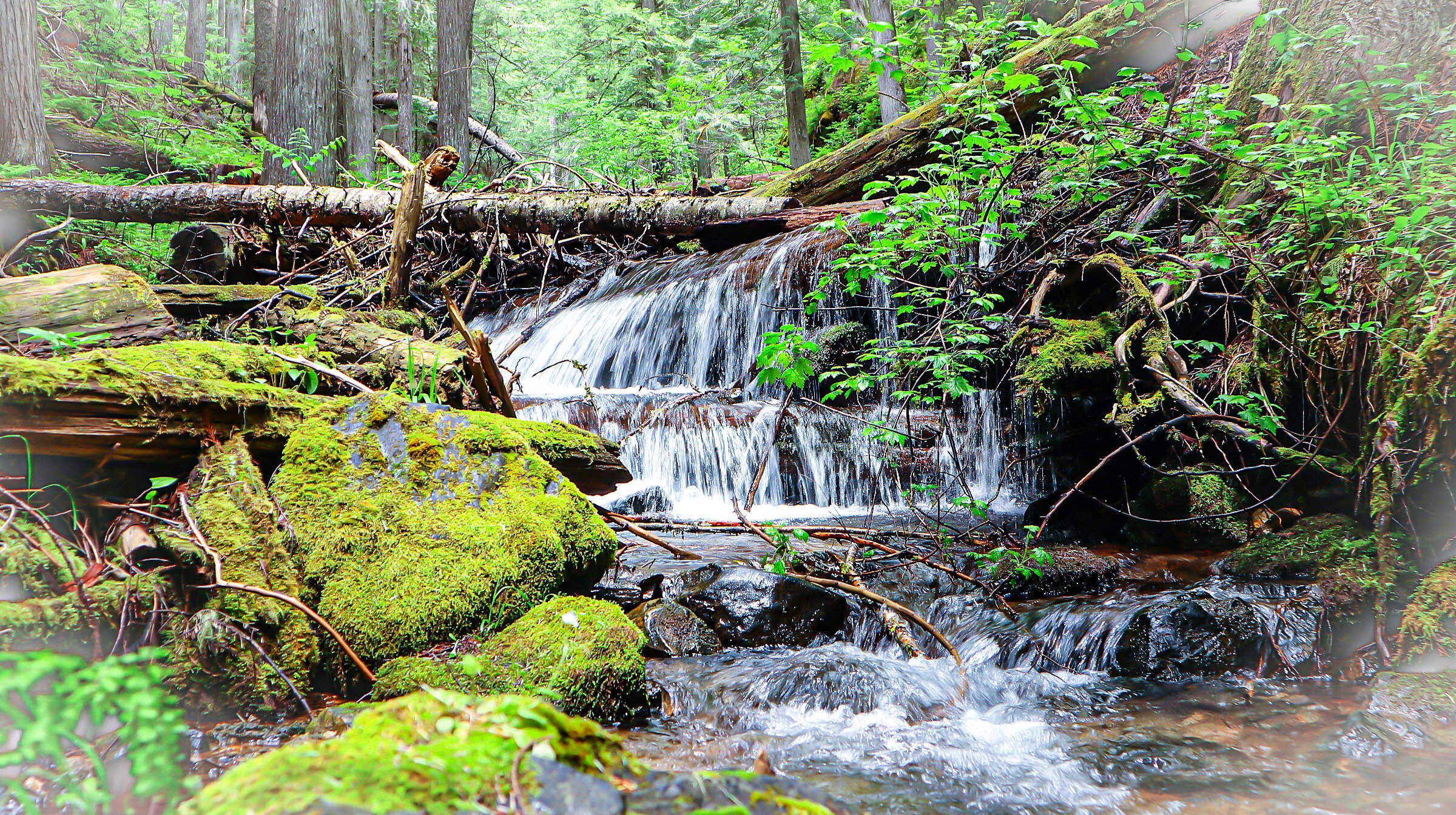 Outdoor Postcards.assorted Scenic Postcards. Sets of 4. Scenic ...